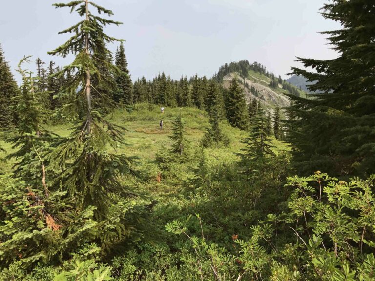 Conservation - Forterra