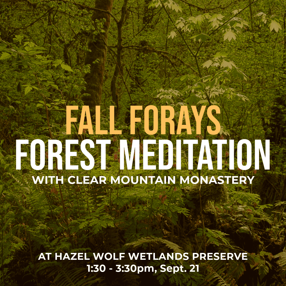 Hazel Wolf Wetlands Preserve - Forterra
