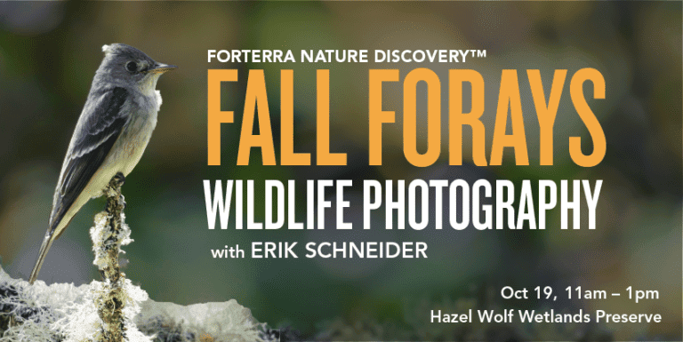 Fall Forays: Wildlife Photography with Erik Schneider - Forterra