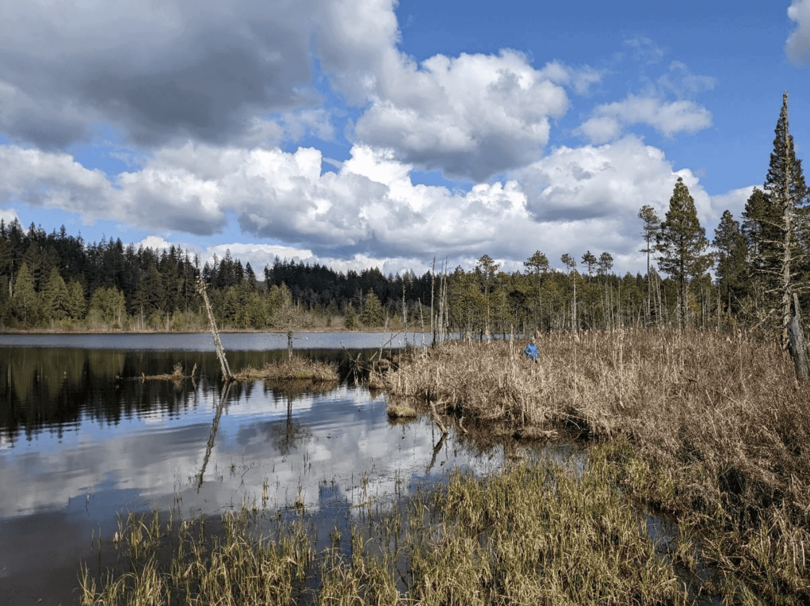 Tulalip Tribes of Washington - Forterra
