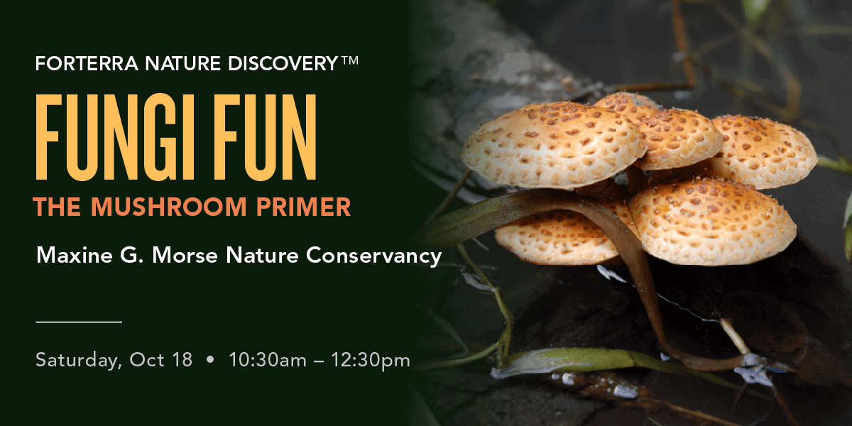 Forterra Nature Discovery: Fungi Fun - The Mushroom Primer - Forterra