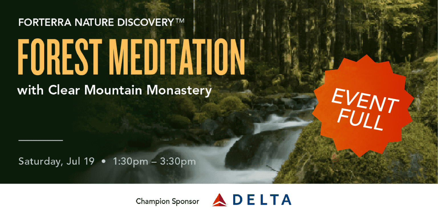 Forterra Nature Discovery: Forest Meditation with Clear Mountain ...